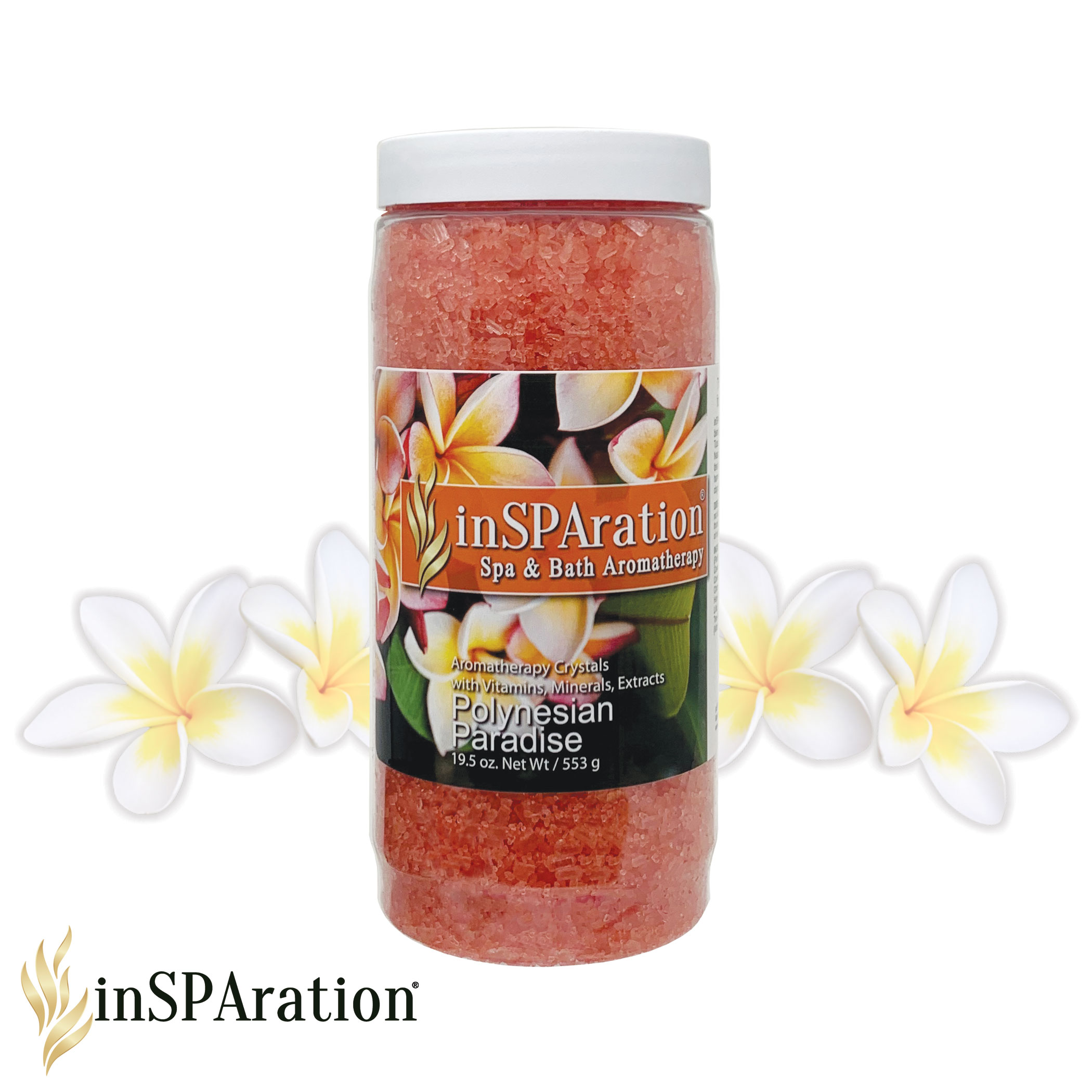19 oz inSPAration Rx Crystals (6pk) – inSPAration.com